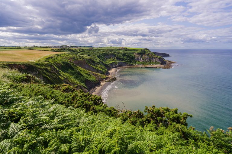 Reasons to walk the Cleveland Way | Mickledore Travel