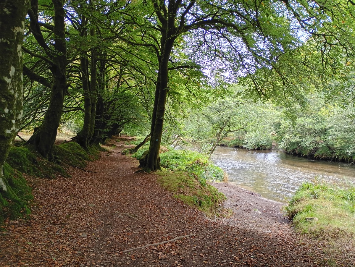 The Magic of the Two Moors | Mickledore Travel