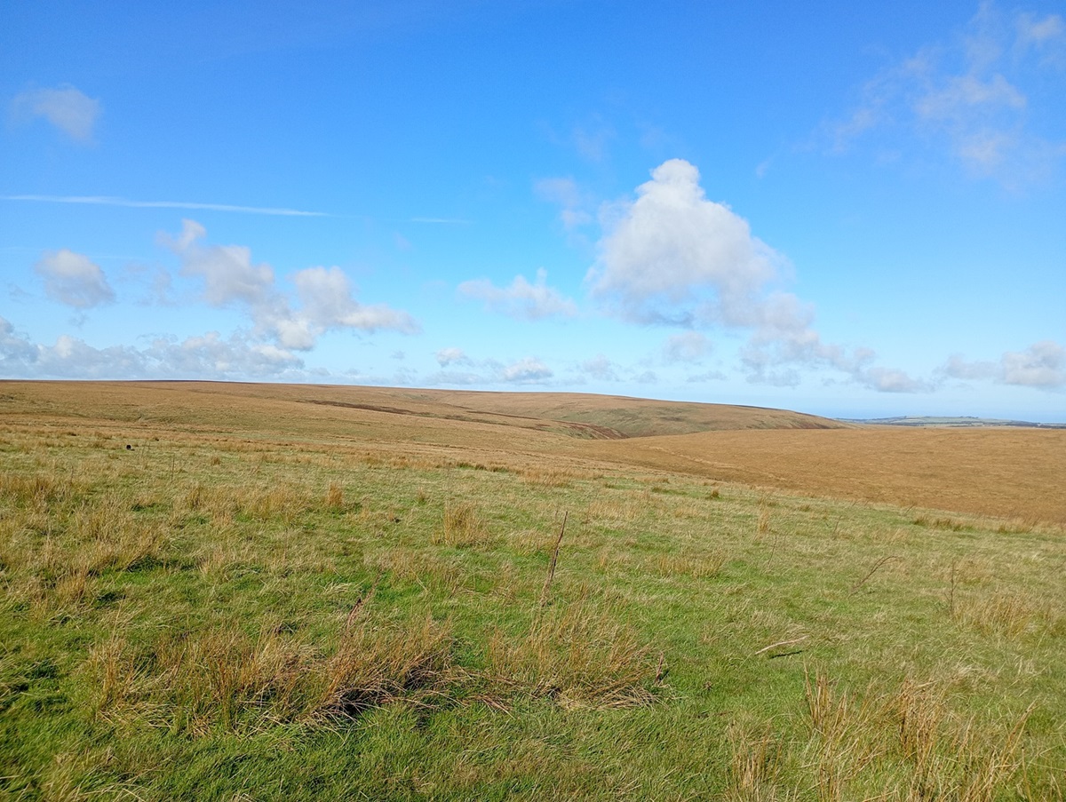 The Magic of the Two Moors | Mickledore Travel