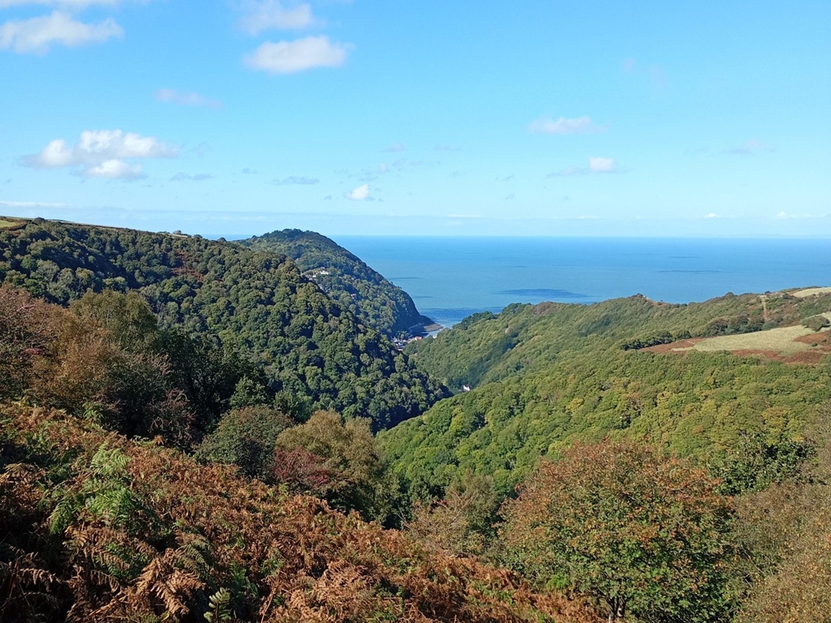 The Magic of the Two Moors | Mickledore Travel