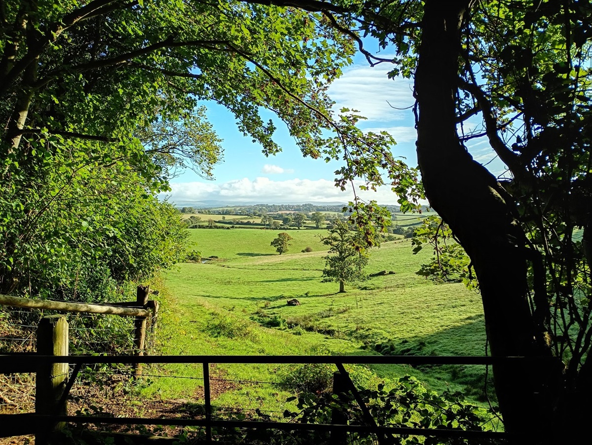 The Magic of the Two Moors | Mickledore Travel
