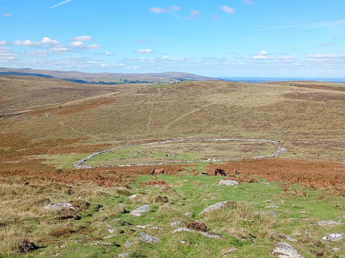 The Magic of the Two Moors | Mickledore Travel